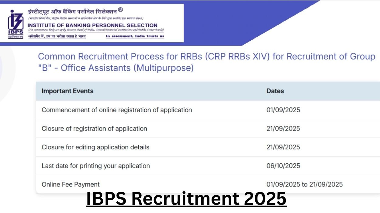 IBPS Recruitment 2025 Notification Out for 13217 Office Assistant and ...