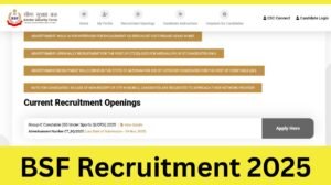 BSF Constable General Duty Recruitment 2025 - Apply Online for 391 Posts